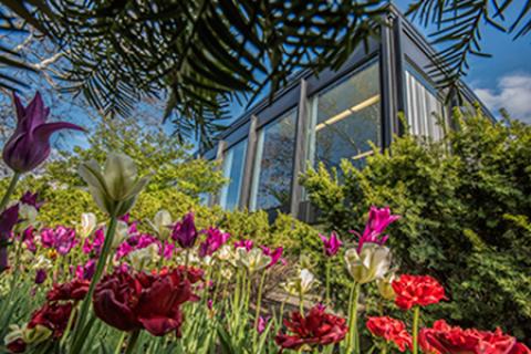 Edith Abbott Hall | Crown Family School of Social Work, Policy, and ...